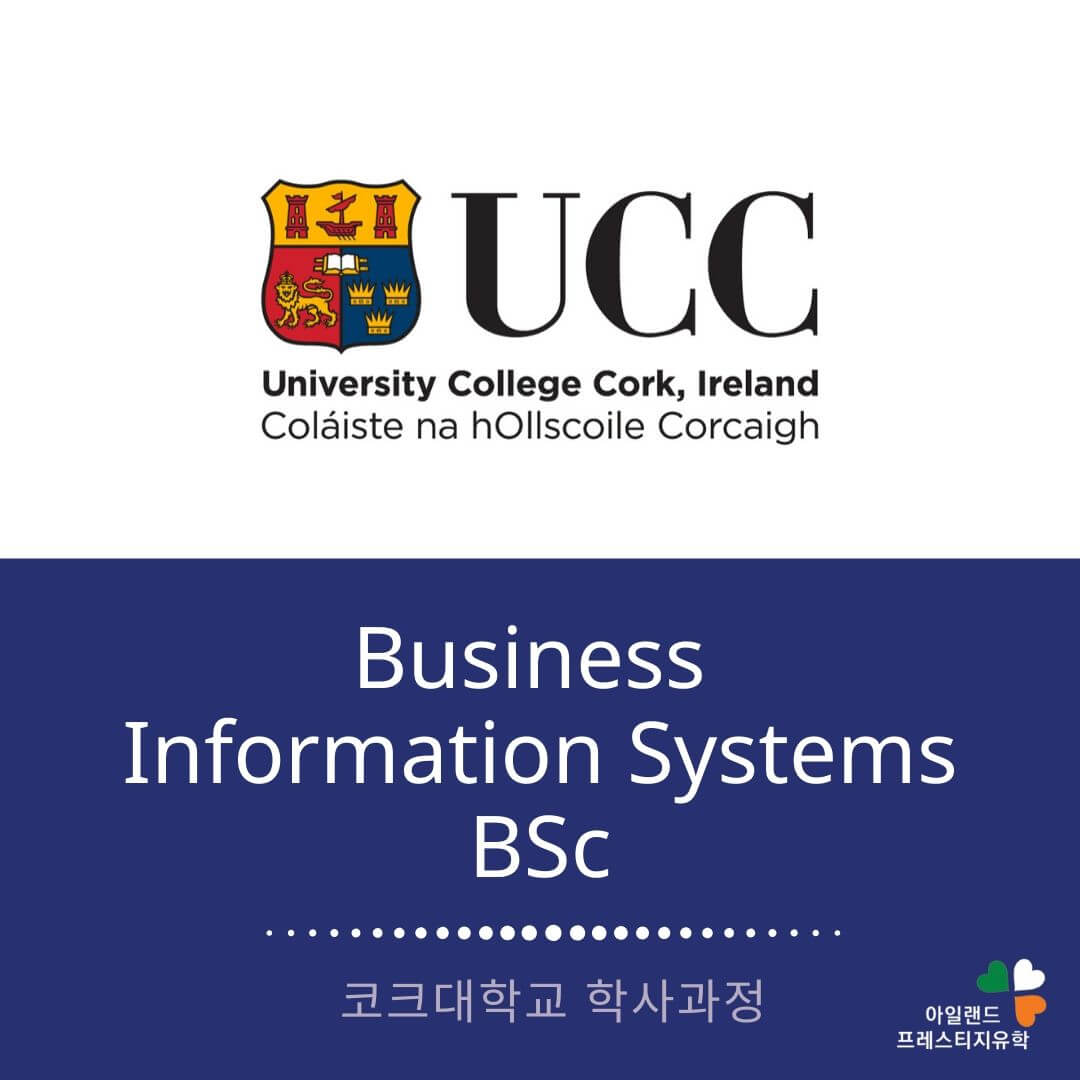 UCC 코크대학교-Business information system-비즈니스 아일랜드유학